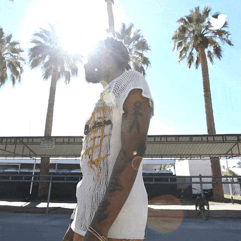 Music Festival Coachella GIF by Twitter - Find & Share on GIPHY