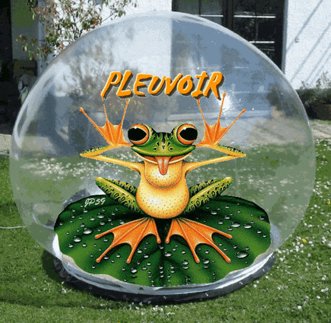 Humour GIF - Find & Share on GIPHY