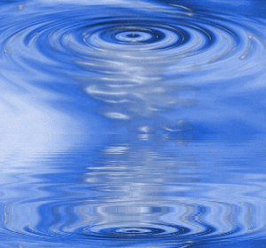 Reflection GIF - Find & Share on GIPHY