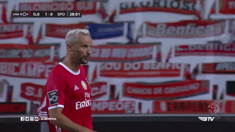 Sl Benfica Hug GIF by Sport Lisboa e Benfica - Find & Share on GIPHY