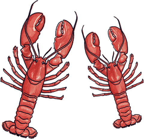 Friends Lobster Sticker by Pottery Barn for iOS & Android | GIPHY