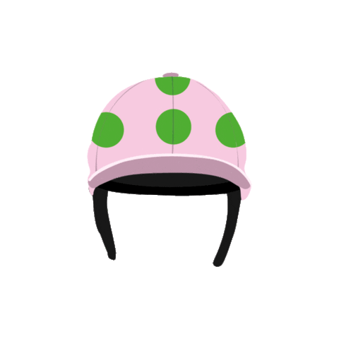 Cheltenham Festival Win Sticker by HRI for iOS & Android | GIPHY