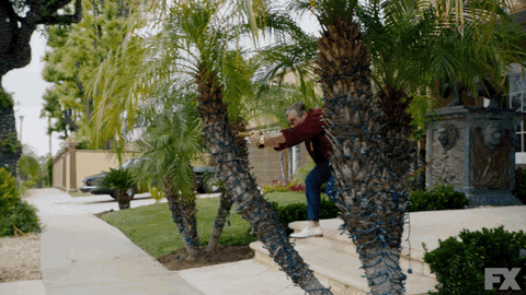 GIF by Snowfall - Find & Share on GIPHY