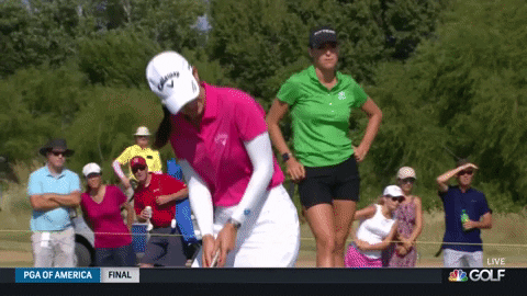 Celebrate Womens Golf GIF by LPGA - Find & Share on GIPHY