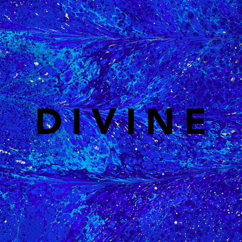 DIVINE GIF - Find & Share on GIPHY