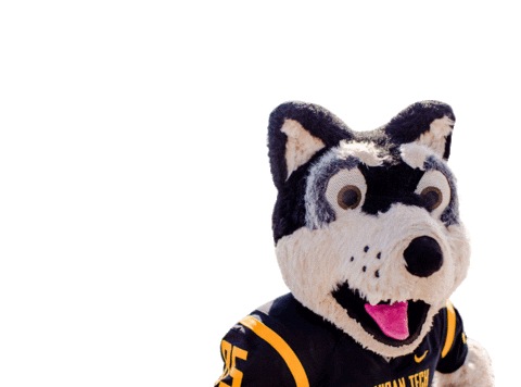 danghieu1407 (Nguyen Dang Hieu) · GitHub