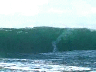 Wave GIF - Find & Share on GIPHY