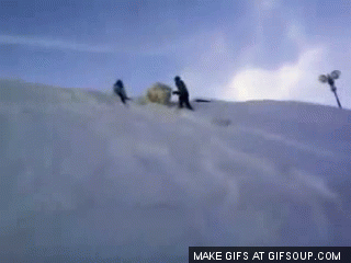Snowball GIF - Find & Share on GIPHY