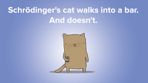 Puns GIF - Find & Share on GIPHY