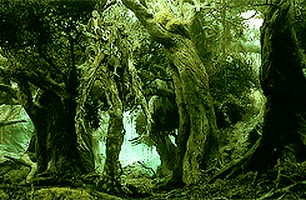 Treebeard GIFs - Get the best GIF on GIPHY