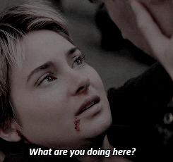 Tabitha GIFs - Find & Share on GIPHY