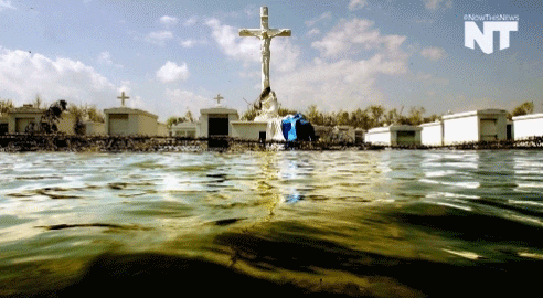 Hurricane Katrina GIFs - Get the best GIF on GIPHY
