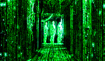 The Matrix GIF - Find & Share on GIPHY