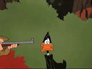 Daffy GIFs - Find & Share on GIPHY