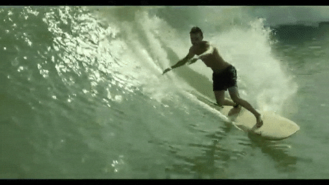 Future Classic Flume Adventures GIF by Flume - Find & Share on GIPHY