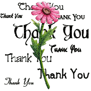 Dankbarkeit als Quelle zum Glück – Glückskatze