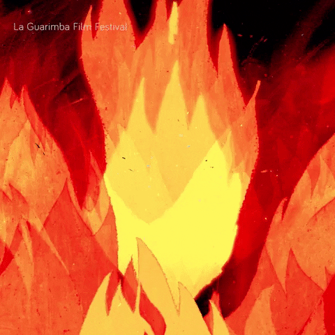 Angry Fire GIF by La Guarimba Film Festival - Find & Share on GIPHY