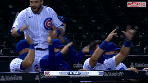 Cubs Celebrate GIF by Marquee Sports Network - Find & Share on GIPHY