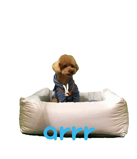 아르르 Sticker by arrr_official for iOS & Android | GIPHY