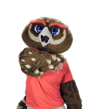 Fau Owlsley Sticker by Florida Atlantic University for iOS & Android ...