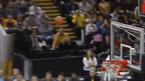 Uwm GIF by Kayla Schaffer - Find & Share on GIPHY