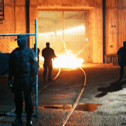 K-391 Mystery GIF - Find & Share on GIPHY