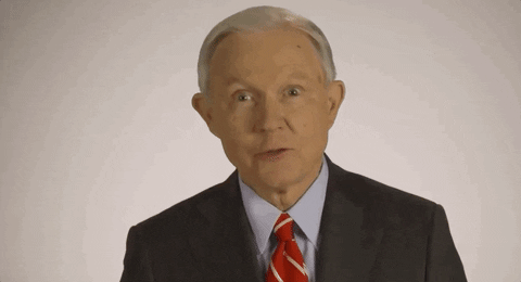 Donald Trump President GIF - Find & Share on GIPHY