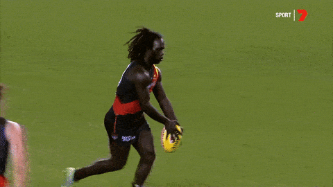 Sport Afl GIF by Essendon FC - Find & Share on GIPHY