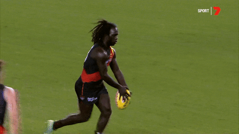 Sport Afl GIF by Essendon FC - Find & Share on GIPHY