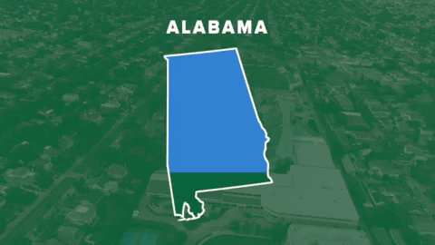 States Egg GIF by GreenWave - Find & Share on GIPHY