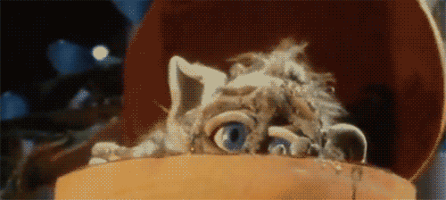 Meet The Feebles GIFs - Find & Share on GIPHY
