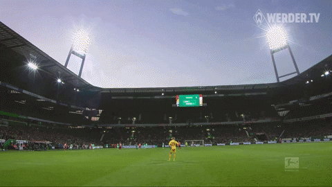 Football Soccer GIF by SV Werder Bremen - Find & Share on GIPHY