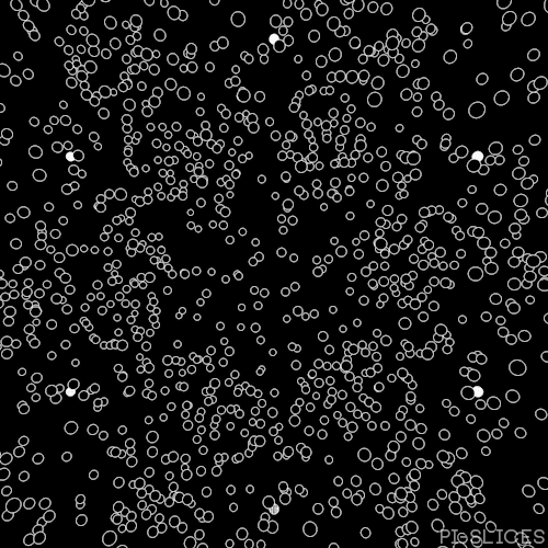Black And White Loop GIF by Pi-Slices - Find & Share on GIPHY