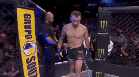 UFC GIF - Find & Share on GIPHY