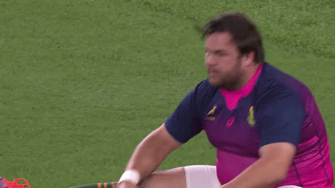 World Rugby Sport GIF by Rugby World Cup - Find & Share on GIPHY