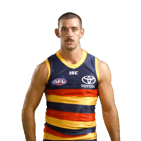 Stickers Afl Sticker by Adelaide Crows for iOS & Android | GIPHY