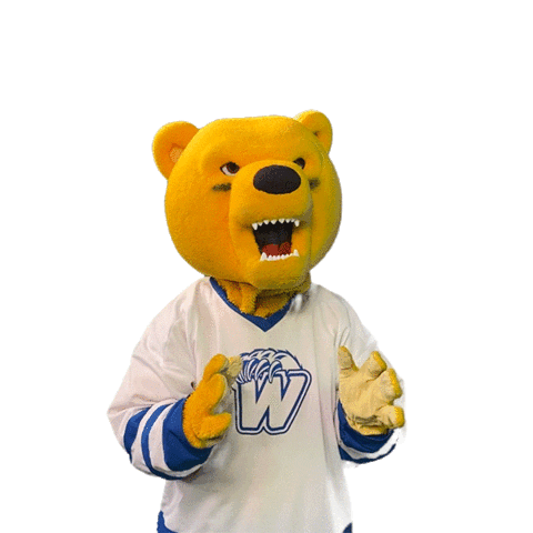 Basketball Bear Sticker by Western New England University for iOS ...