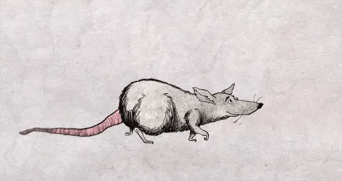 Animation 2D GIF by Jonathan Ostos Yaber - Find & Share on GIPHY