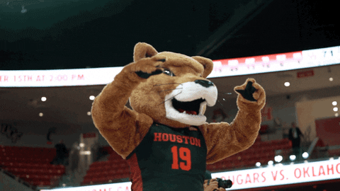 Sasha Go Coogs GIF by University of Houston - Find & Share on GIPHY