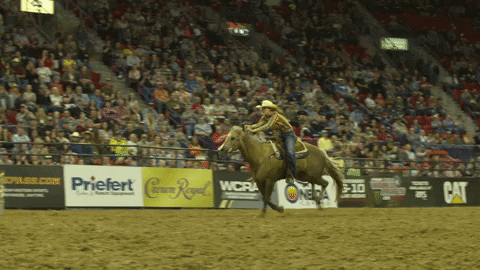 Triple Crown Celebration GIF by Professional Bull Riders (PBR) - Find ...