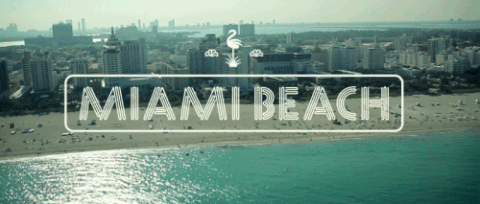 Miami Beach GIF - Find & Share on GIPHY