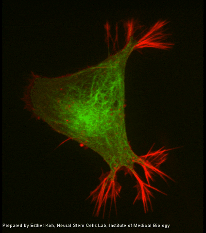 Stem GIF - Find & Share on GIPHY