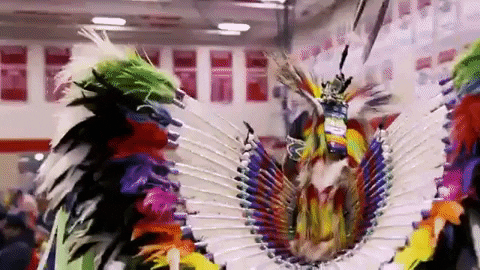 National Indigenous Peoples Day GIF by Priya - Find & Share on GIPHY