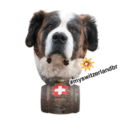 Swiss Sticker by MySwitzerlandBr for iOS & Android | GIPHY