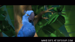 Rio GIF - Find & Share on GIPHY