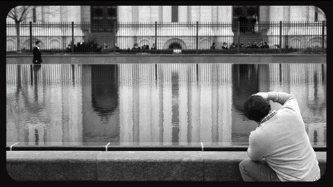 Reflection GIF - Find & Share on GIPHY