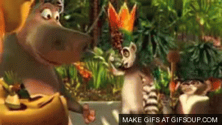 Madagascar GIF - Find & Share on GIPHY
