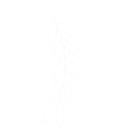 White Sticker for iOS & Android | GIPHY