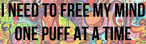 Good Morning Stoners!! Its a beautiful Mondaze... - Steve-o