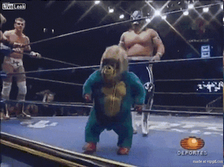 Cody vs TJ would be all white, all midget version of Anderson vs GSP ...